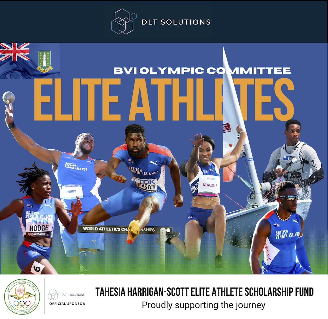 DLT Solutions - Blog